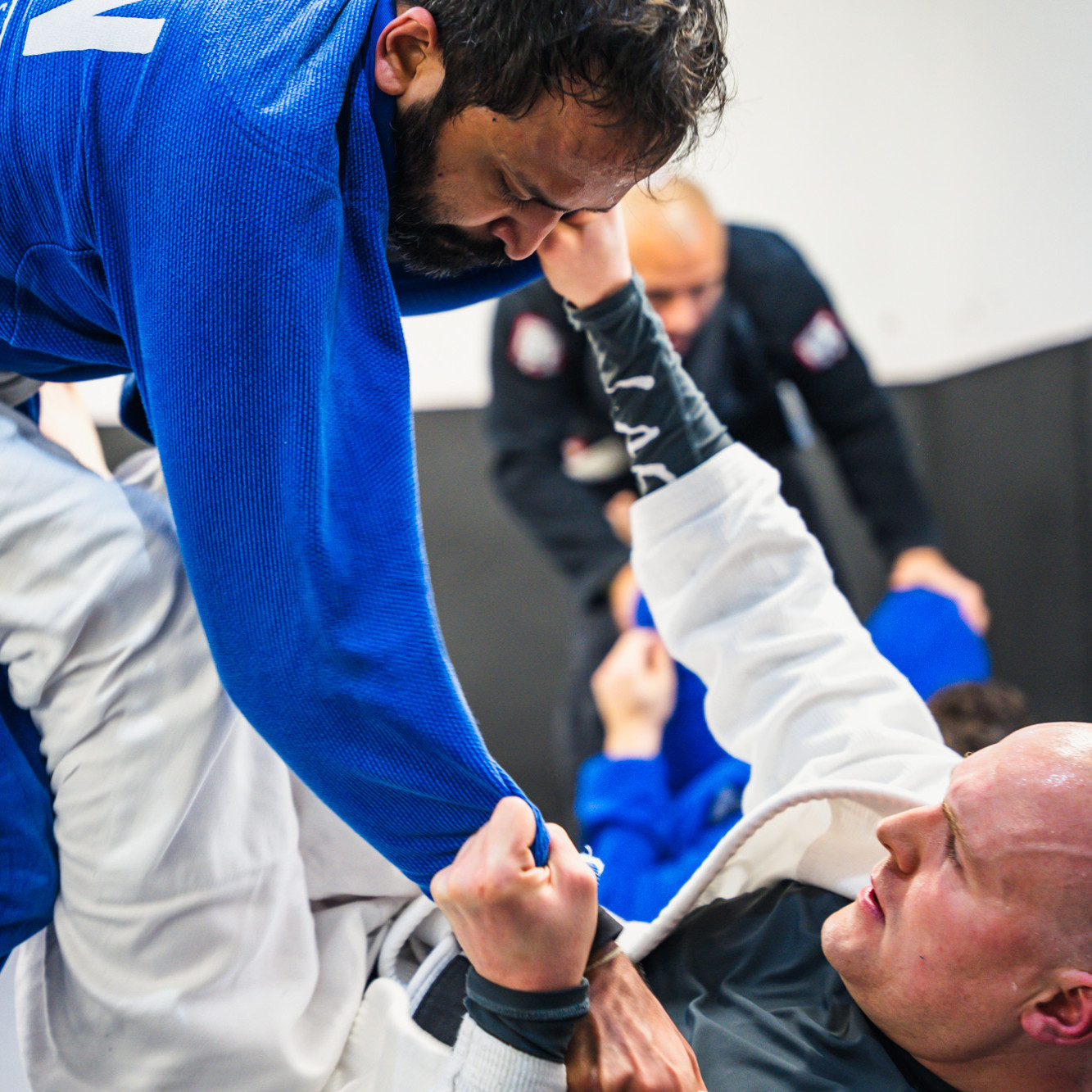 Memberships - Aeon BJJ